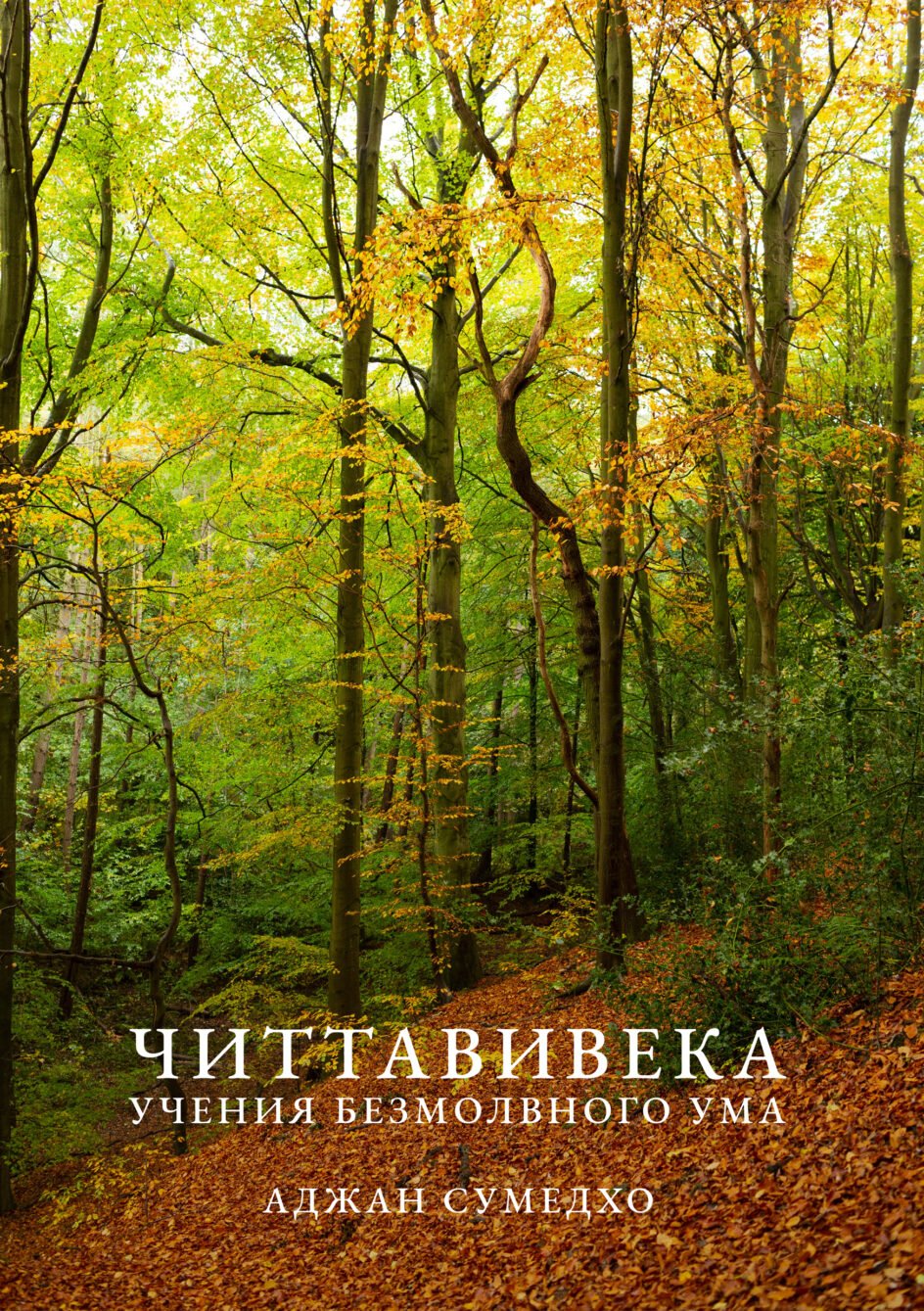Читтавивека (Cittaviveka) - Amaravati Buddhist Monastery